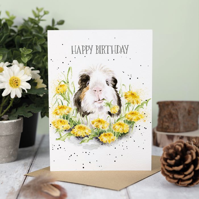 Dandy Day Birthday Card – Seasons Home & Gift